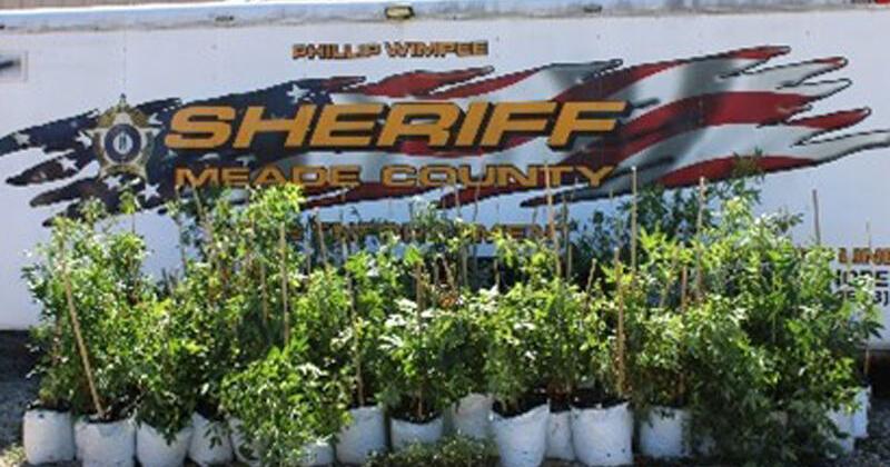 Meade County police bust marijuana growing operation | Local News ...