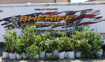 Meade County police bust marijuana growing operation | Local News | thenewsenterprise.com