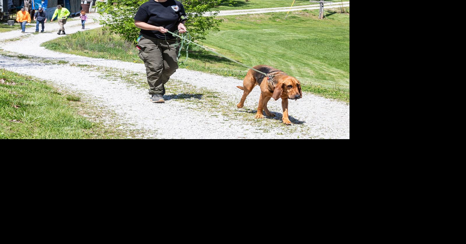 Search and rescue groups train together for favorable outcomes | Local ...