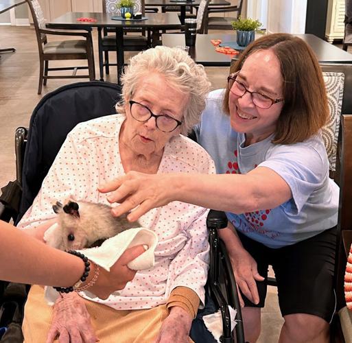 Peridot residents have wildlife visitors | Neighbors ...