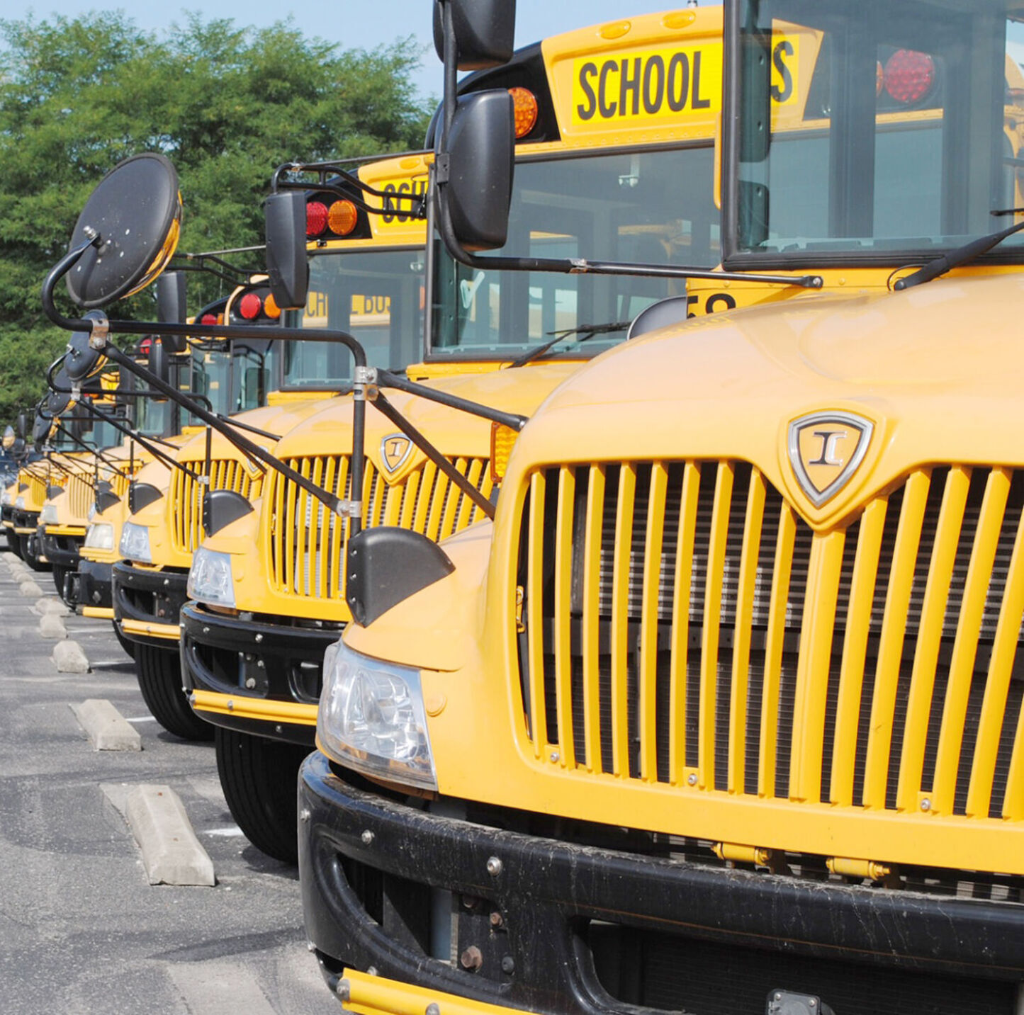 State assessment scores give cause for celebrating, room still for ...