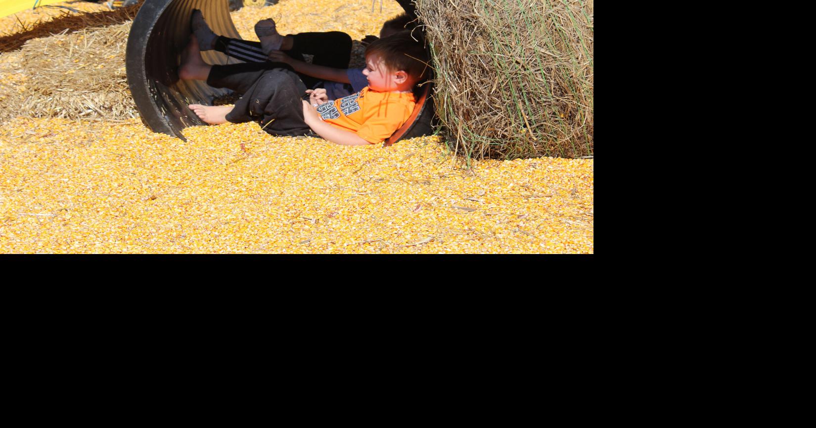 Sunny day play on the farm | Local News | thenewsenterprise.com