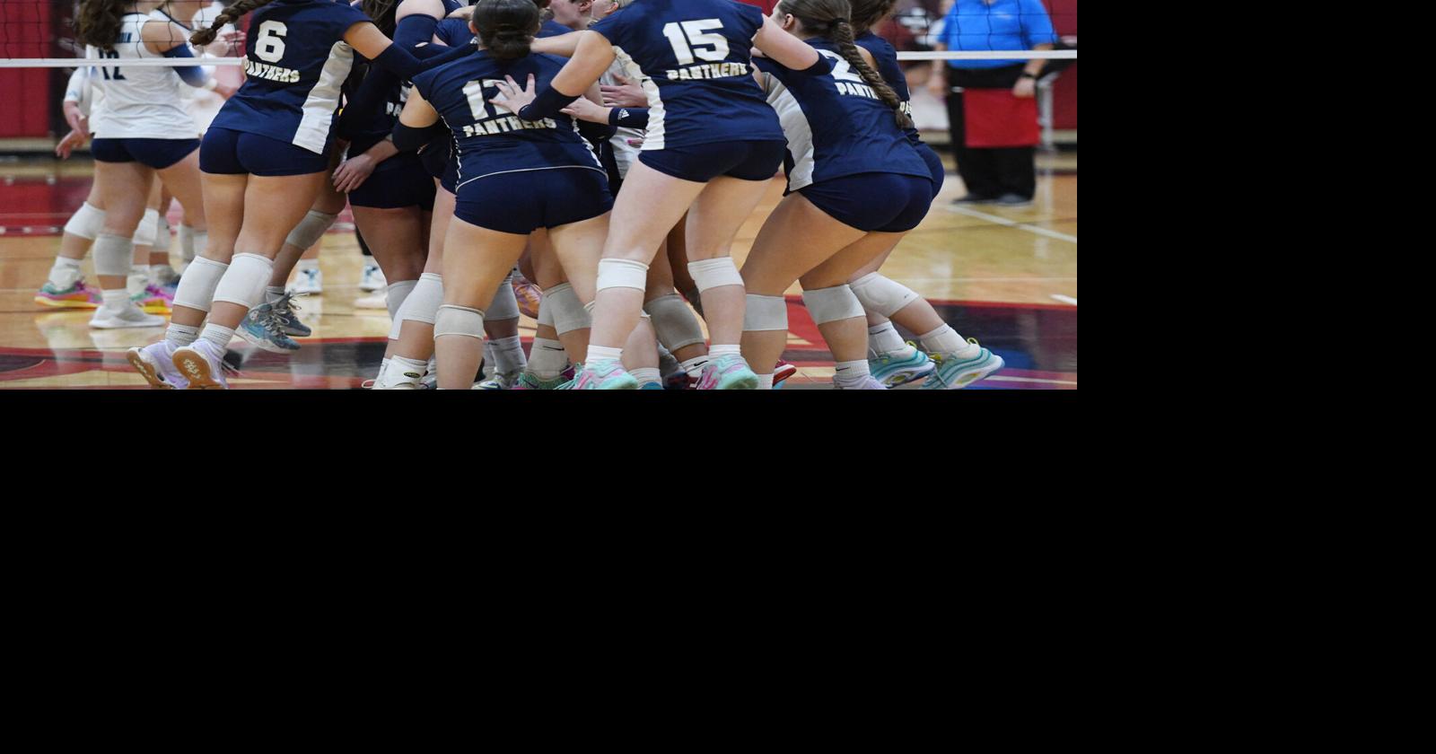 Panthers stun Bruins in 17th District volleyball final | High School ...