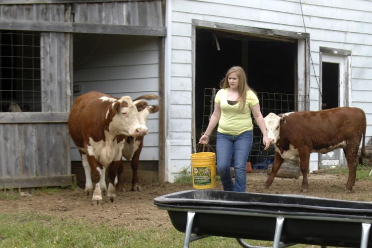 Kathryn Goodman builds herd on her own | Tuesday's Teen ...