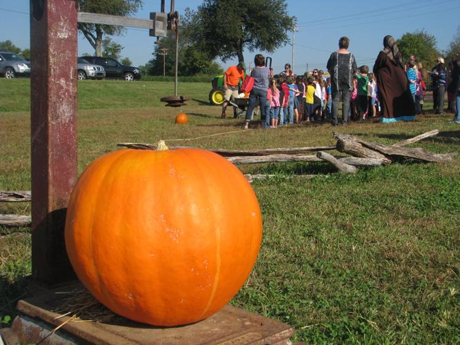 Patches of pumpkins: Local farms, businesses provide variety, family ...