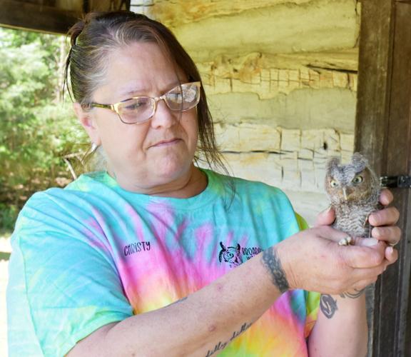 Saunders Springs goes wild | Local News | thenewsenterprise.com