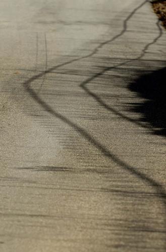 Faces and Places: A Cast of Shadows | Local News | thenewsenterprise.com