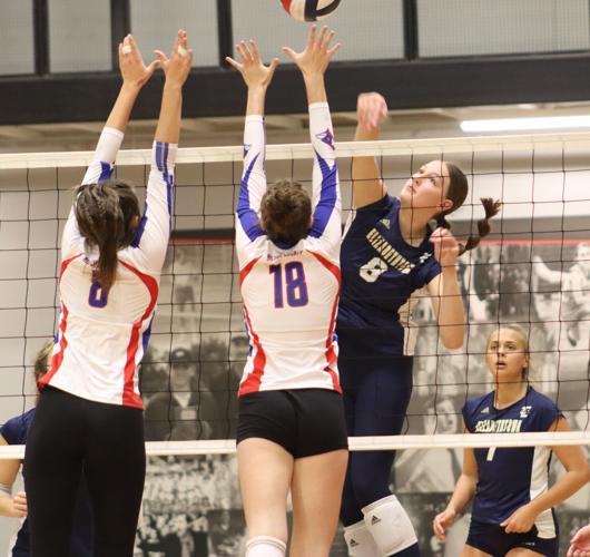 Panthers hold off Nelson in region semifinals | News Alert ...