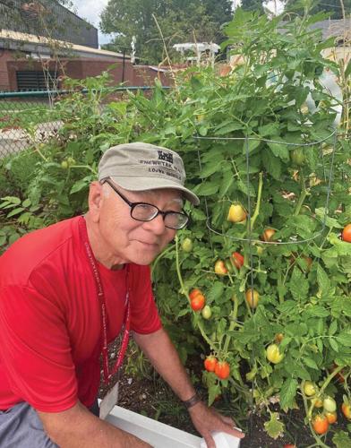 Veteran sows wisdom along with seeds at Devers Center | Monday's Man ...