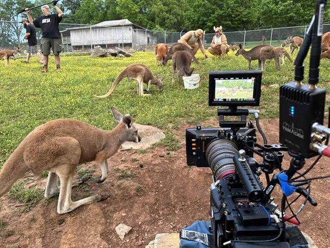 Elizabethtown actor lands part in movie filmed at Kentucky Down Under ...