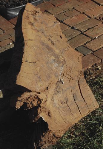 On strength of Patton, distillery triples business year over year ...