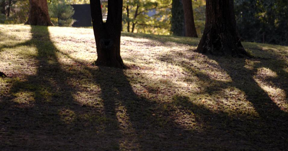 FACES & PLACES: In the Shadows | Local News | thenewsenterprise.com