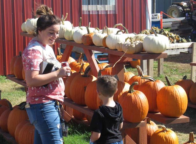 Multiple farms provide family fun during fall season | Local News ...