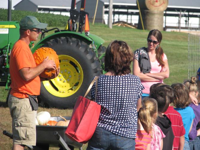 Patches of pumpkins: Local farms, businesses provide variety, family ...