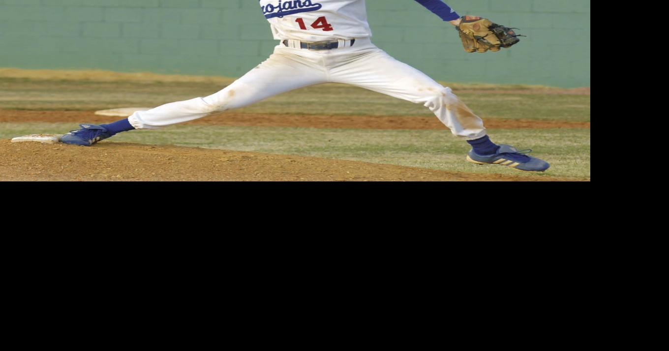 PREP BASEBALL: North's Perkins backs up father's challenge (5/3 ...
