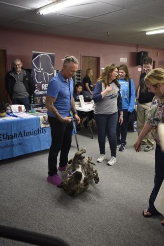 Pet Expo packed for its 10th year | Local News | thenewsenterprise.com