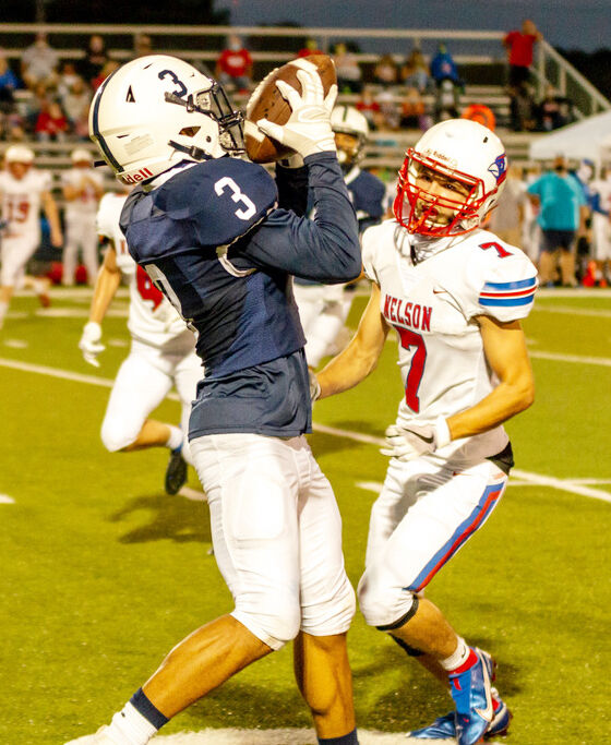 PREP FOOTBALL: Panthers race past Nelson County | Sports ...