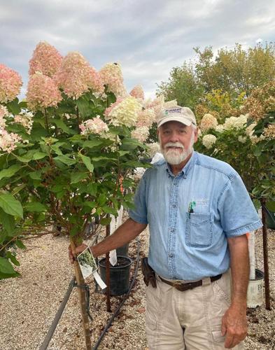 Local landscaper continues passion in next chapter of life | Monday's ...