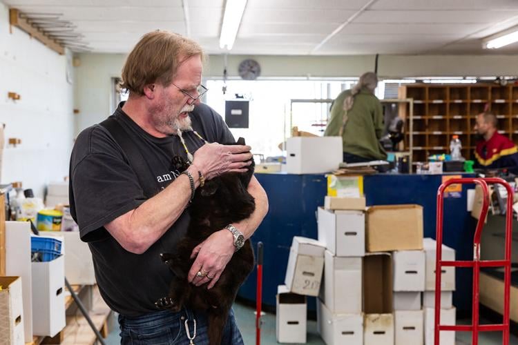 Comic Vault locks up after 33 years in operation | Local News ...