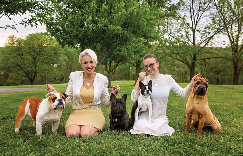 Mattingly returns to Westminster with junior handler, contenders ...