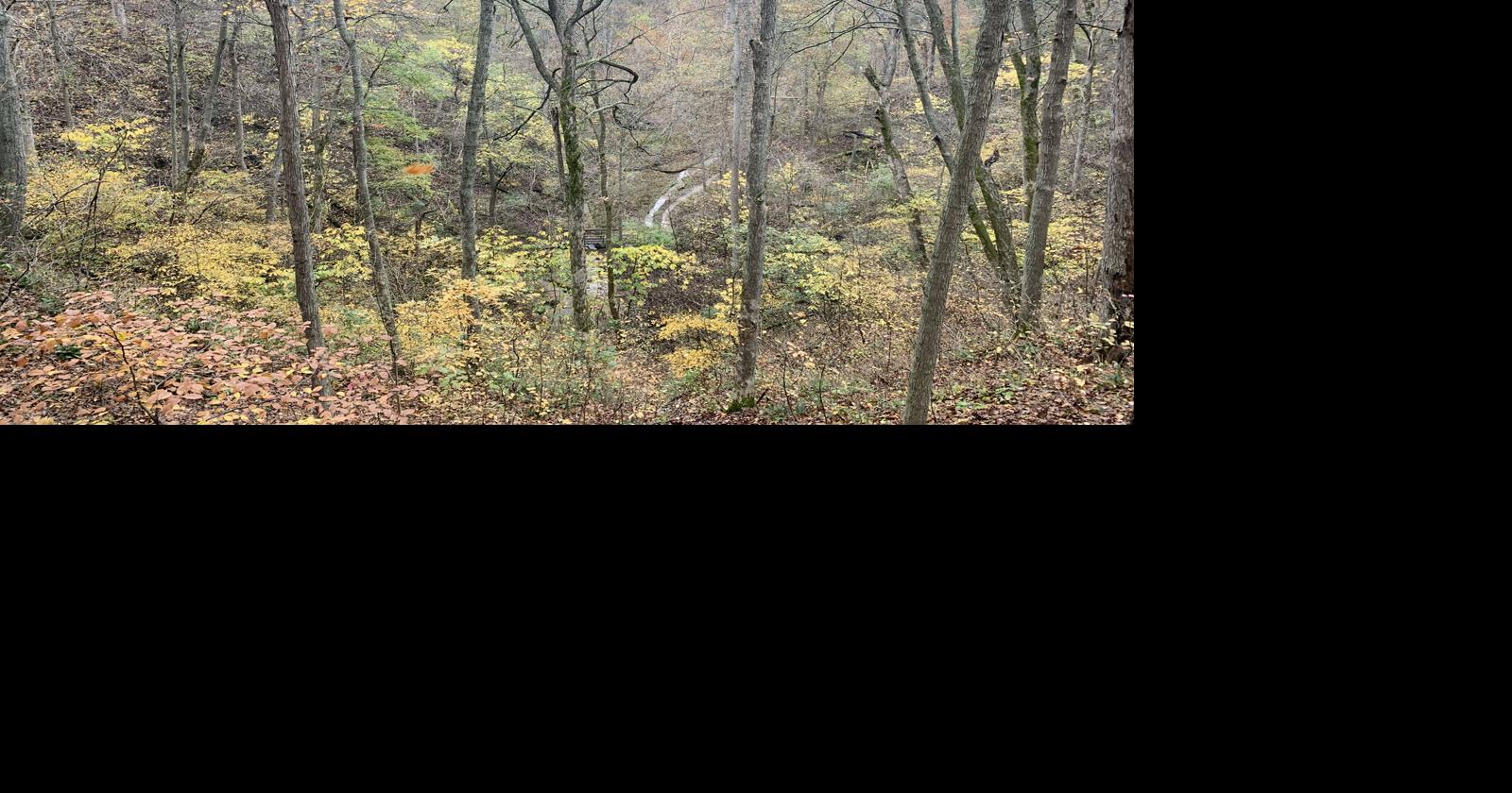 Saunders Springs in the fall | Local News | thenewsenterprise.com