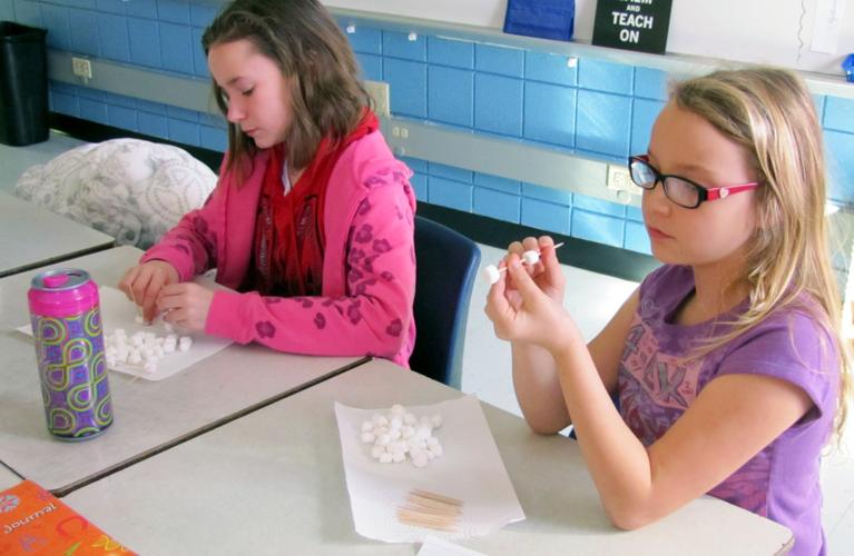 Club offers GEMS of knowledge | Education | thenewsenterprise.com