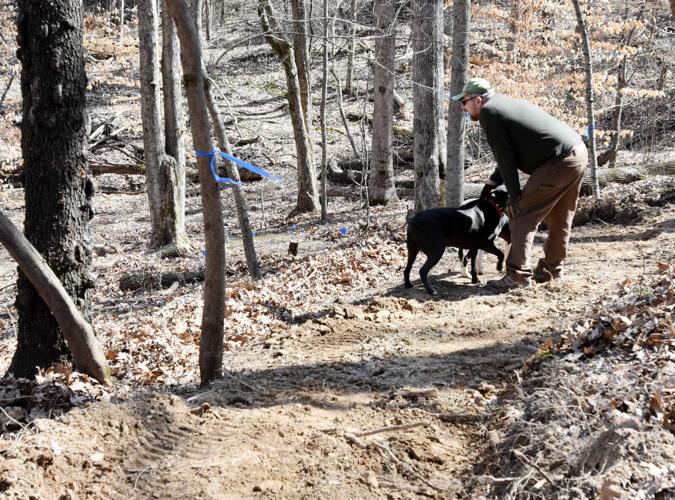 Bikers, runners to put skills to the test at Saunders Springs event ...