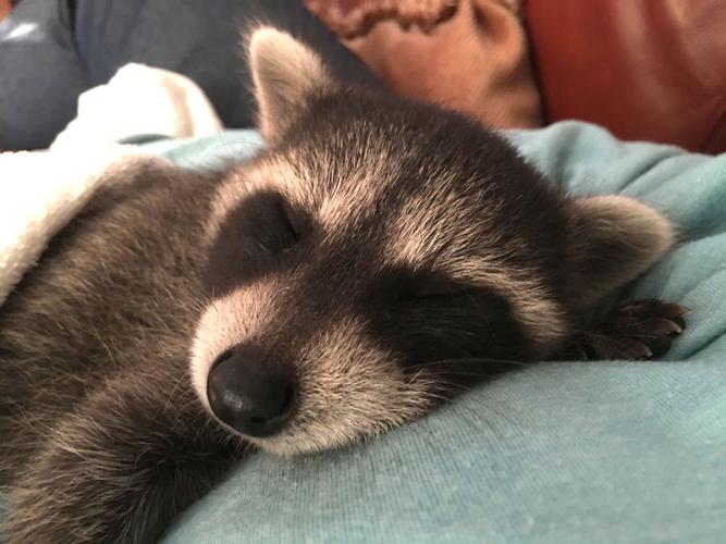 Ladner offers trust to clients | Wednesday's Woman | thenewsenterprise.com