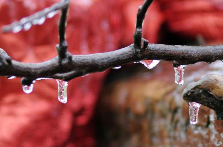 PHOTOS: Icing the landscape | Local News | thenewsenterprise.com