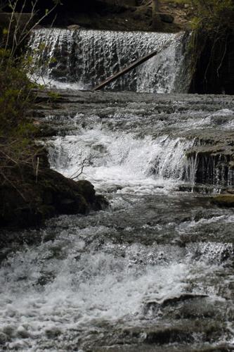 Faces & Places: Saunders Spring sights | Local News | thenewsenterprise.com