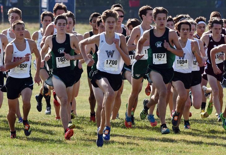 PREP CROSS COUNTRY: Greco leads Green Wave (11/6) | Sports ...