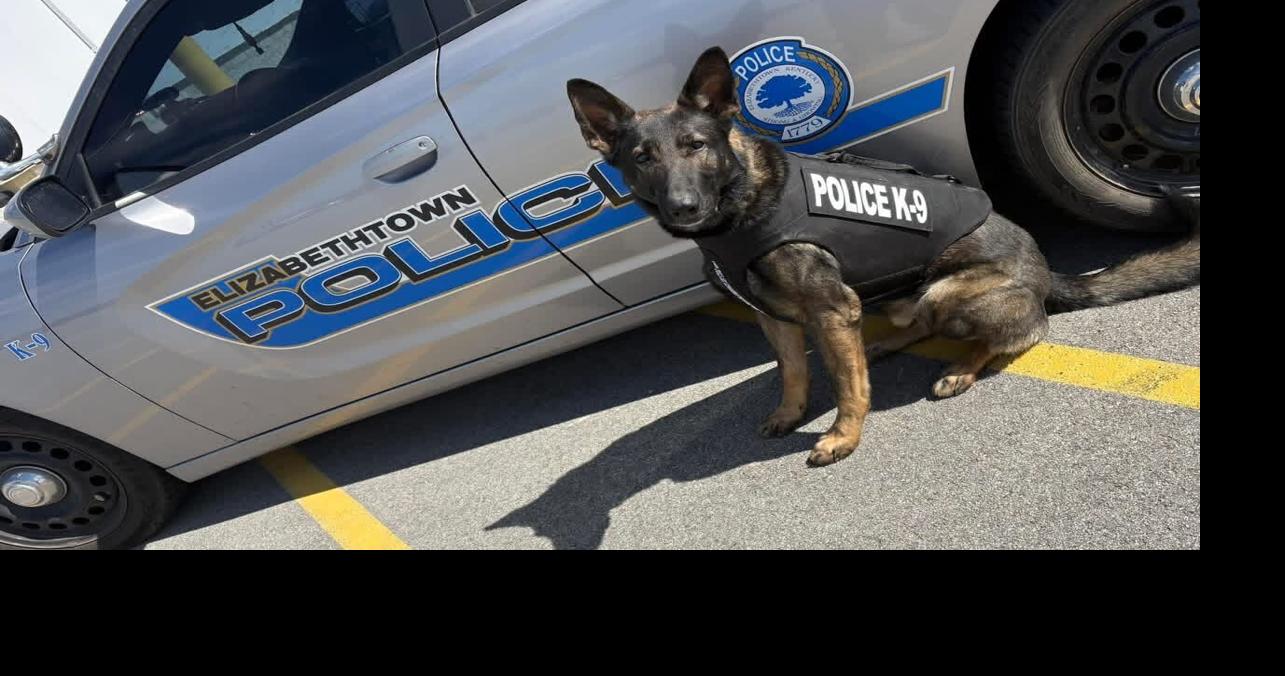 EPD mourns loss of K9 Zeus, who was ‘more than a police dog’ | Local ...