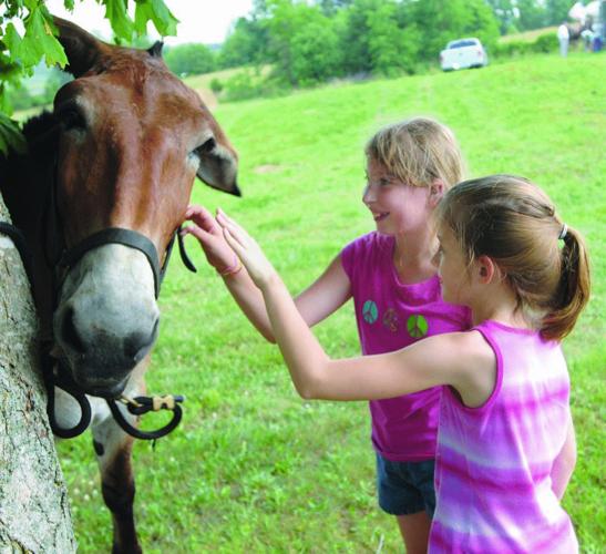 Wagon convoy clomps along country roads | News | thenewsenterprise.com