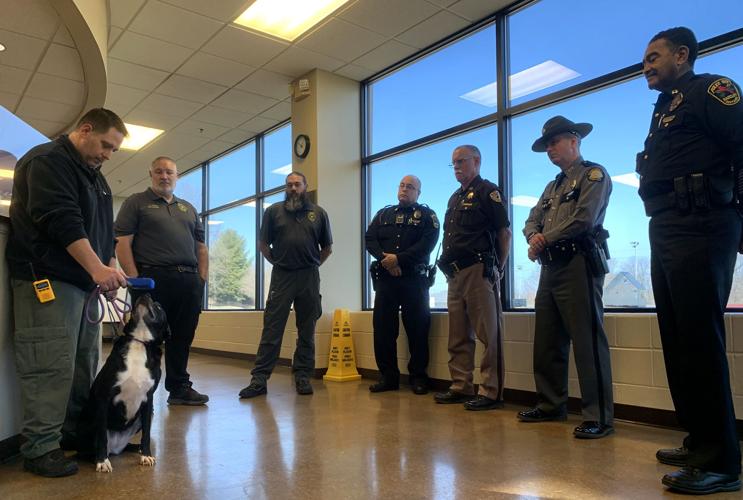 Animal control equips police agencies with microchip readers | Local ...
