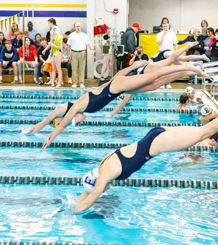 Local swimmers honored on Senior Night | Sports | thenewsenterprise.com