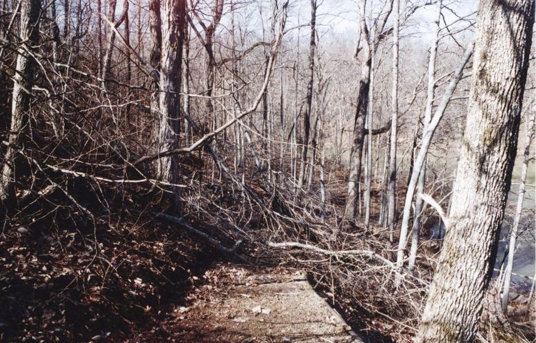 Saunders Springs on the path to recovery | News | thenewsenterprise.com