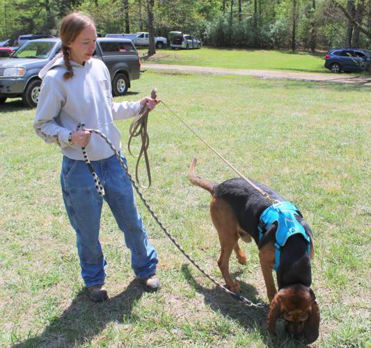 Hardin, Grayson K-9 search and rescue experts host national training | Local News ...