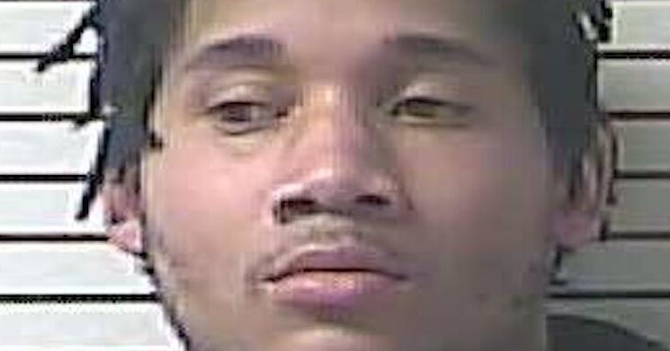 Police: Man in custody after fleeing, resisting arrest | Local News ...