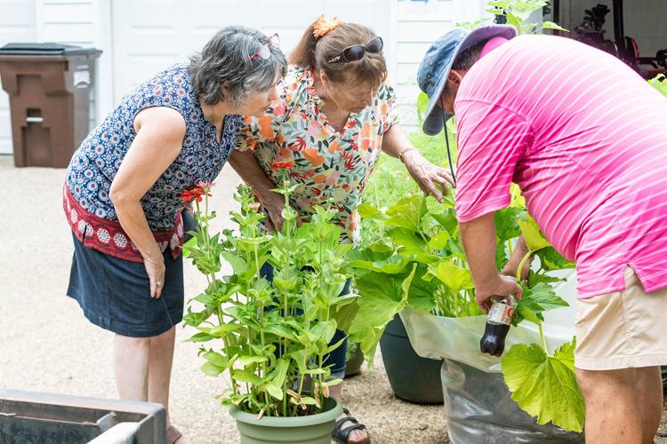 Plant enthusiasts flock to Garden Tour | Local News | thenewsenterprise.com