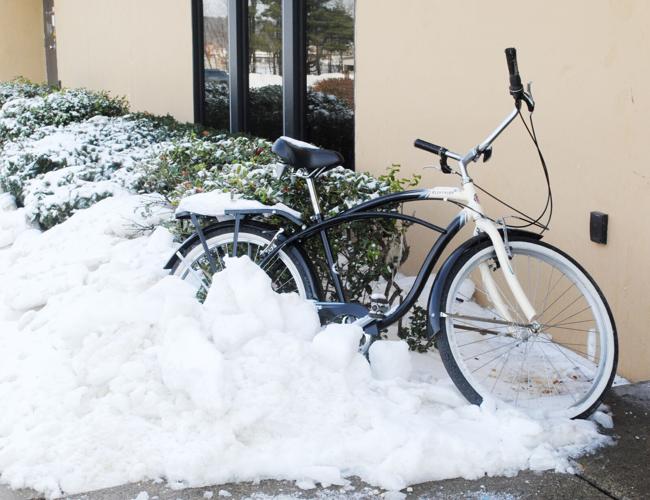 At capacity, local shelter hums with helpers | Local News ...