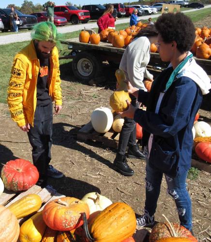 Multiple farms provide family fun during fall season | Local News ...