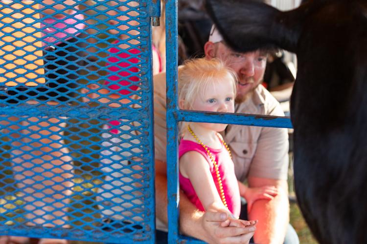 Families find fun, hungry animals at fair's petting zoo | Local News ...