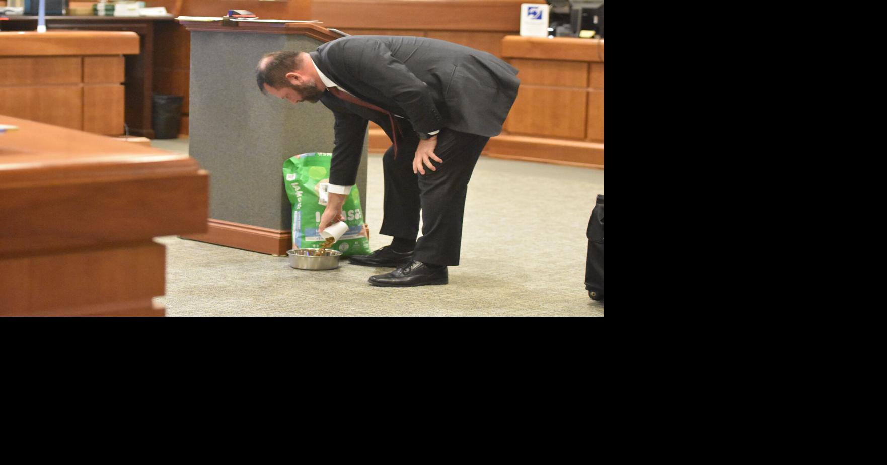 Jury reaches guilty verdict in animal torture case | Local News ...