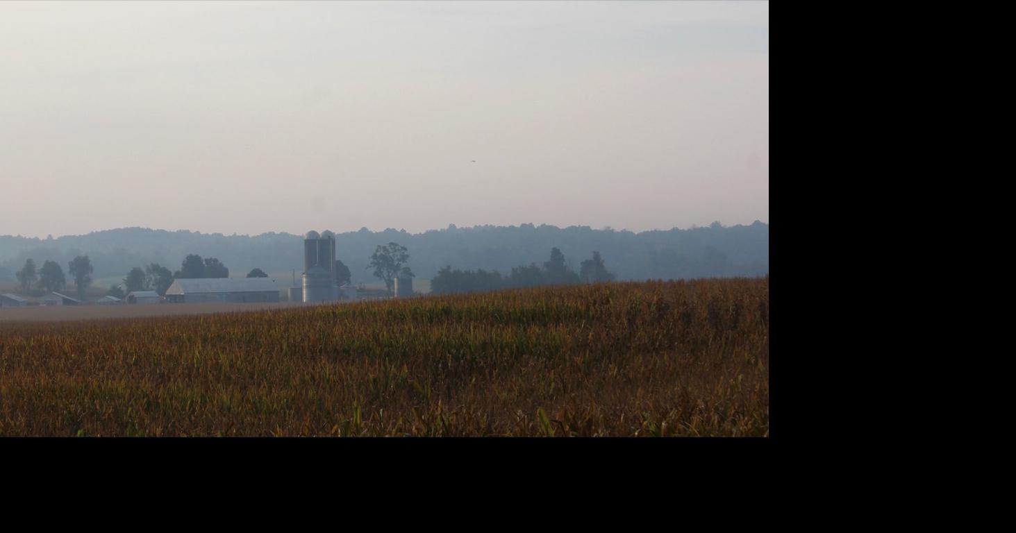 Foggy Thursday morning | Local News | thenewsenterprise.com