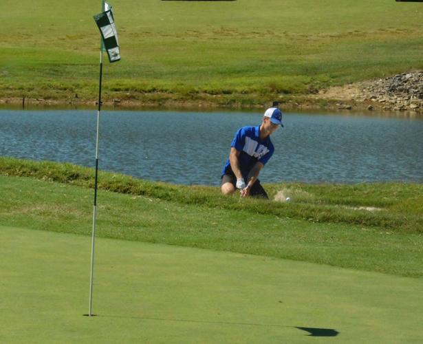 Panthers, Bruins go 1-2 in region golf tourney | Sports ...