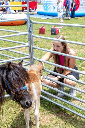 Stephensburg Day returns to sizable crowd after decade hiatus | Local ...