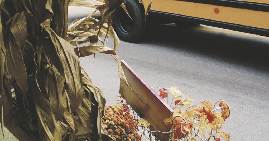 The face of fall | News | thenewsenterprise.com