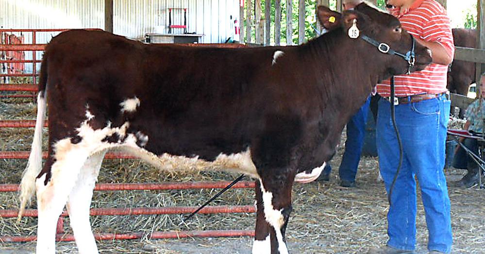 Orry and Briann win first-place awards at beef cattle show | Neighbors ...