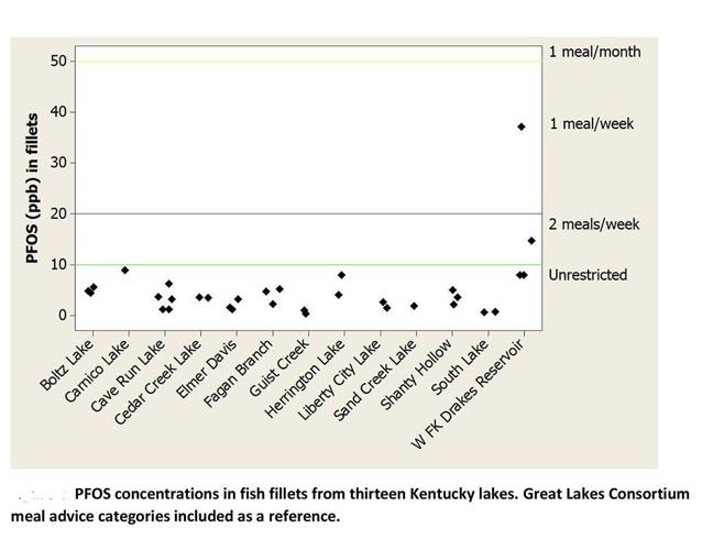 State: Limit fish consumption because of PFAS levels | News Alert ...