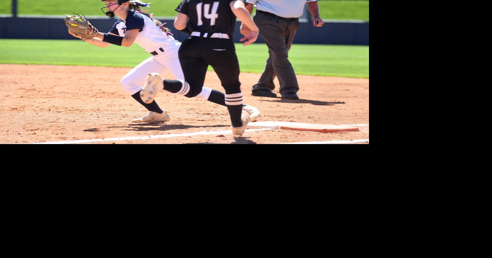 Panthers fall to South Warren in state softball | High School Sports ...
